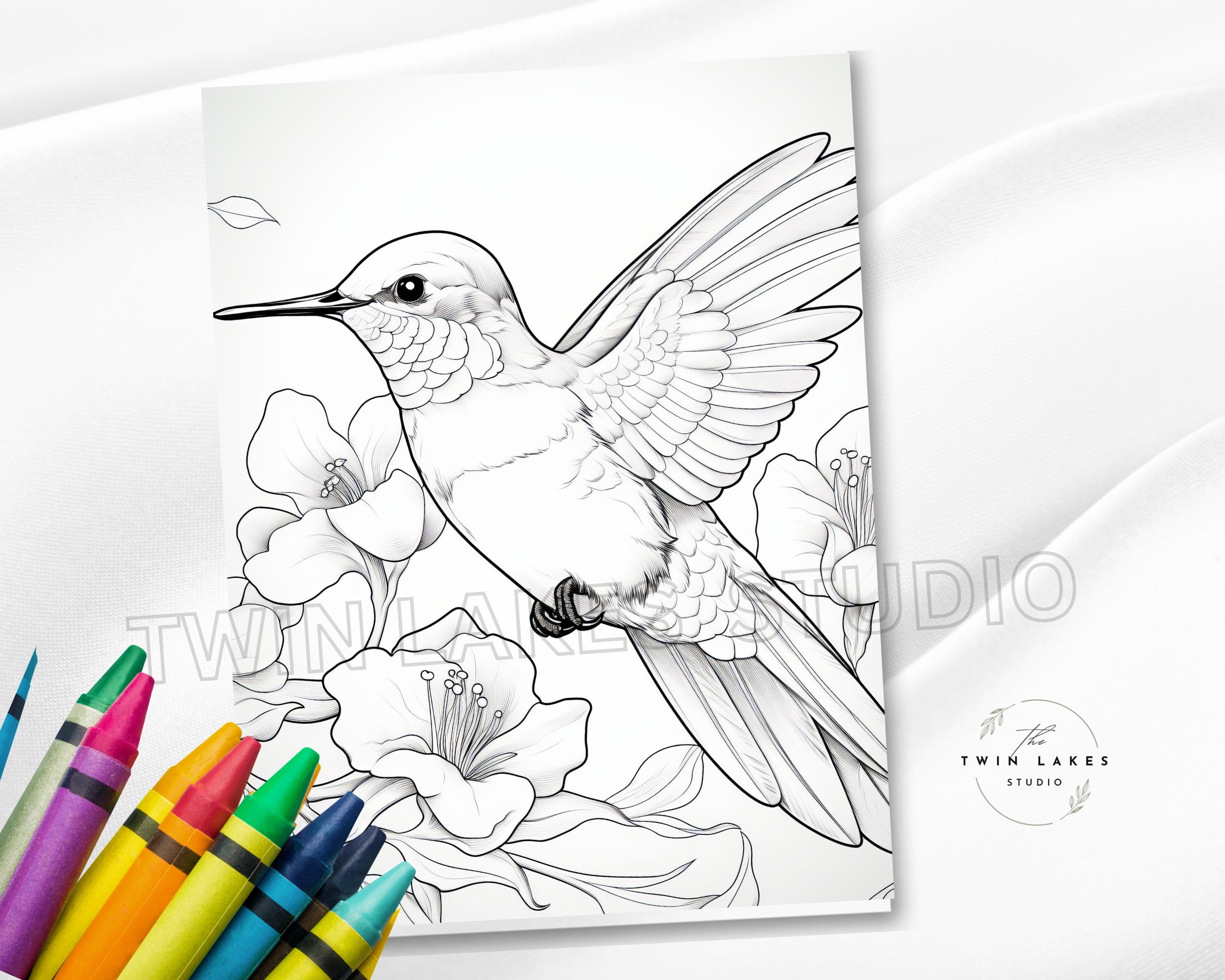 Hummingbird Coloring Book Pages With Flowers for Adults and Seniors ...