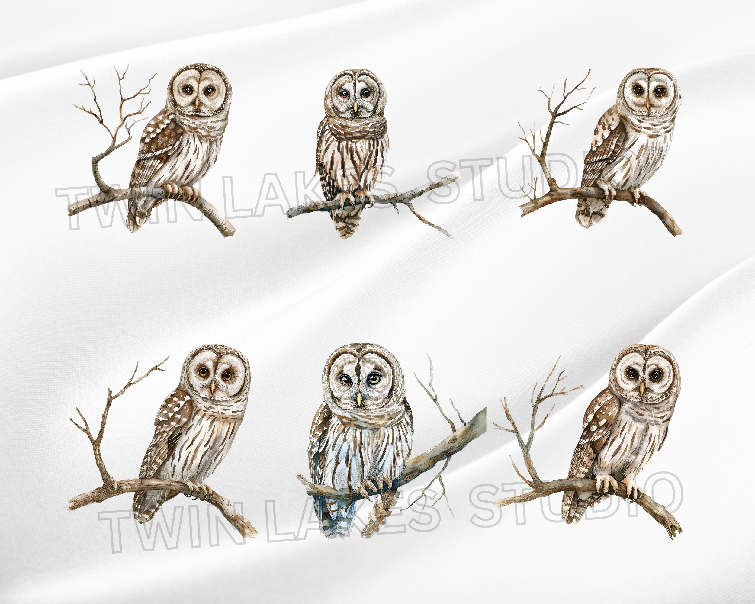 Watercolor Owls | Clipart | Digital Download | Commercial Use - Etsy