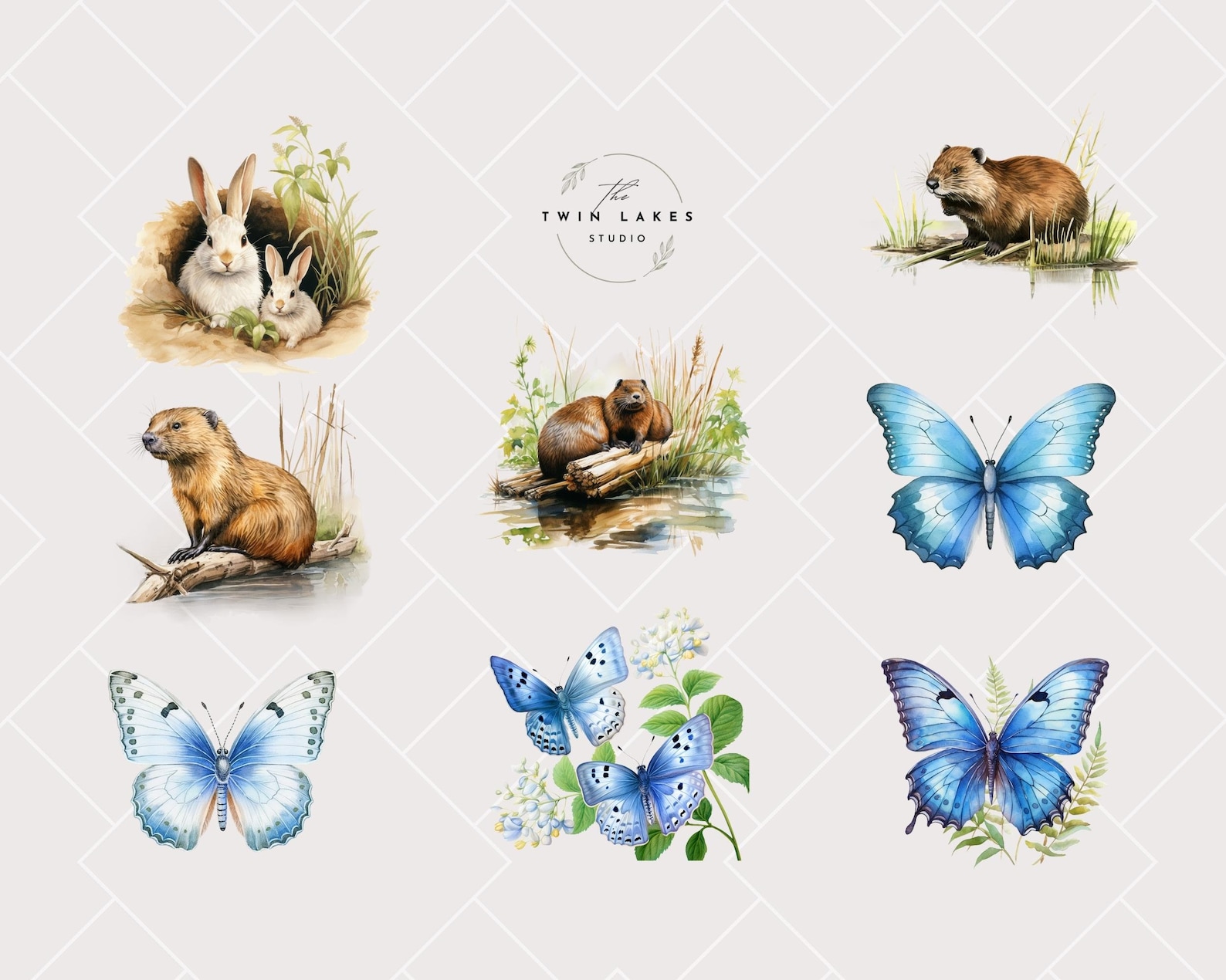 Wildlife Animals Clipart Set | Animals in Nature | Woodland Animals ...