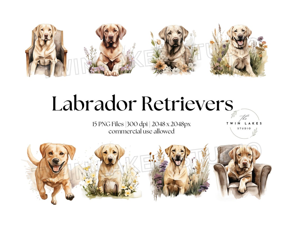 Watercolor Yellow Labrador Retriever Dog Labrador in Flowers Yellow Lab ...