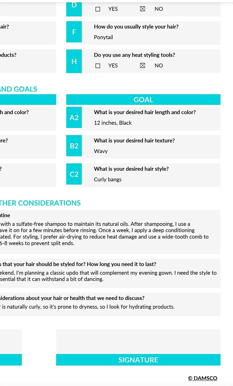 Hair Salon Client Intake Form, Stylist Consultation Template (canva ...