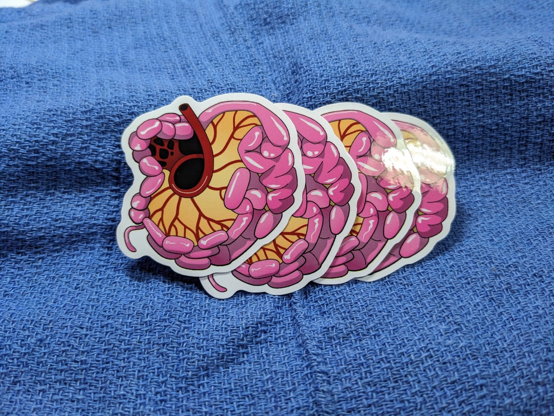 Intestines 2 Vinyl Sticker - Etsy
