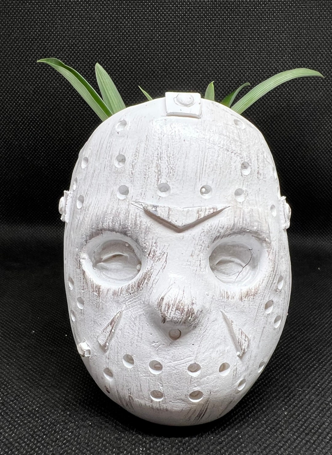 Jason Voorhees Planter With Live Solid Green Spider Plant - Etsy