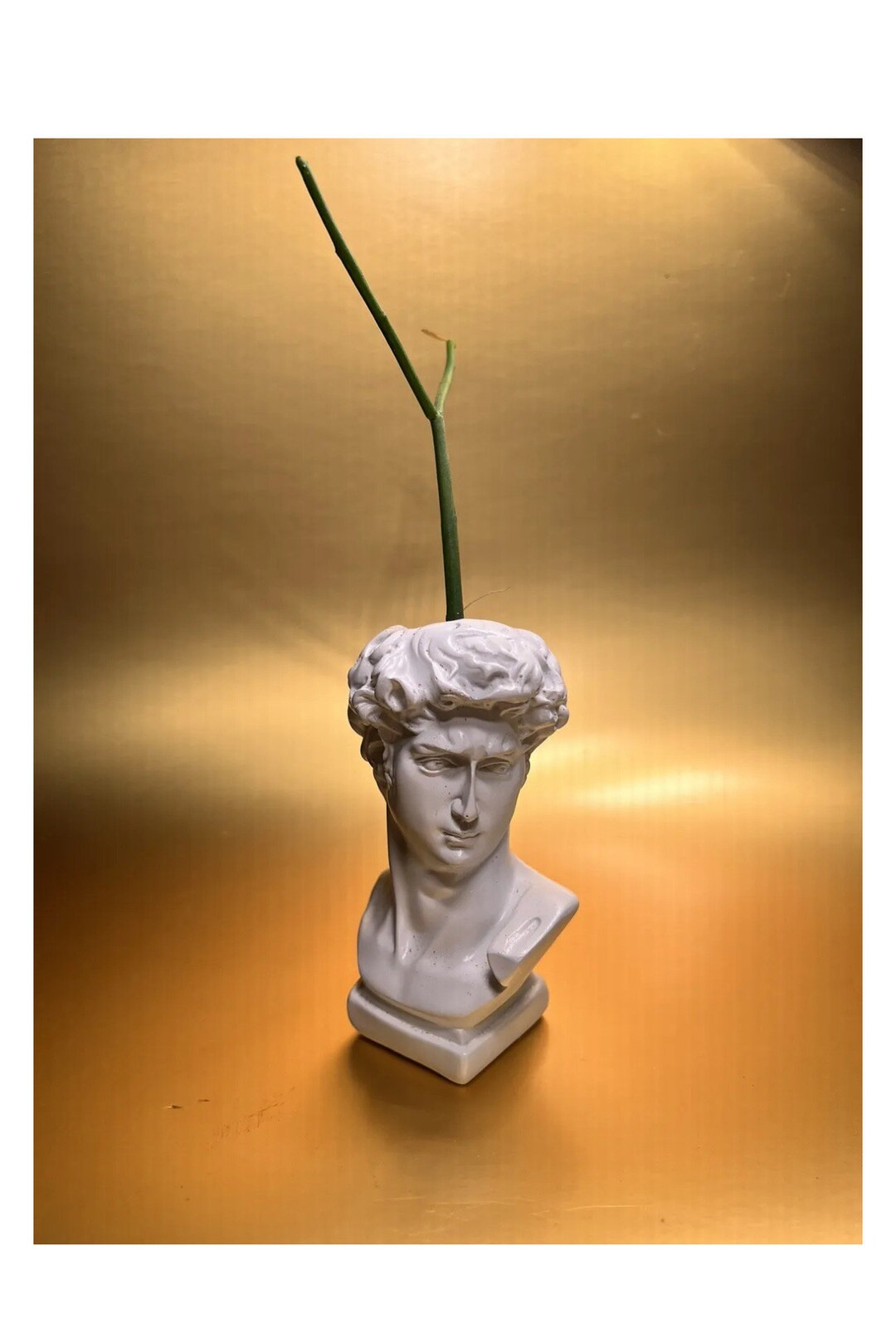 David Planter/succulents, Cacti or Houseplants - Etsy