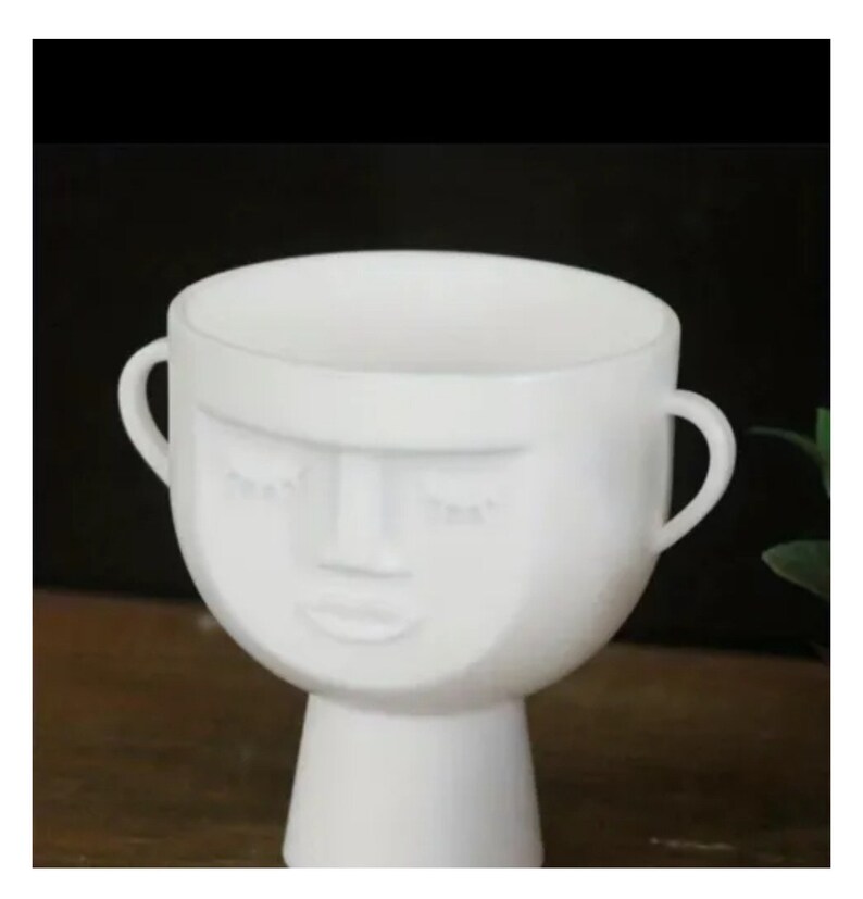 Stone Head Planter/exotic/succulent, Cactus or Other Plants/gifts/the ...