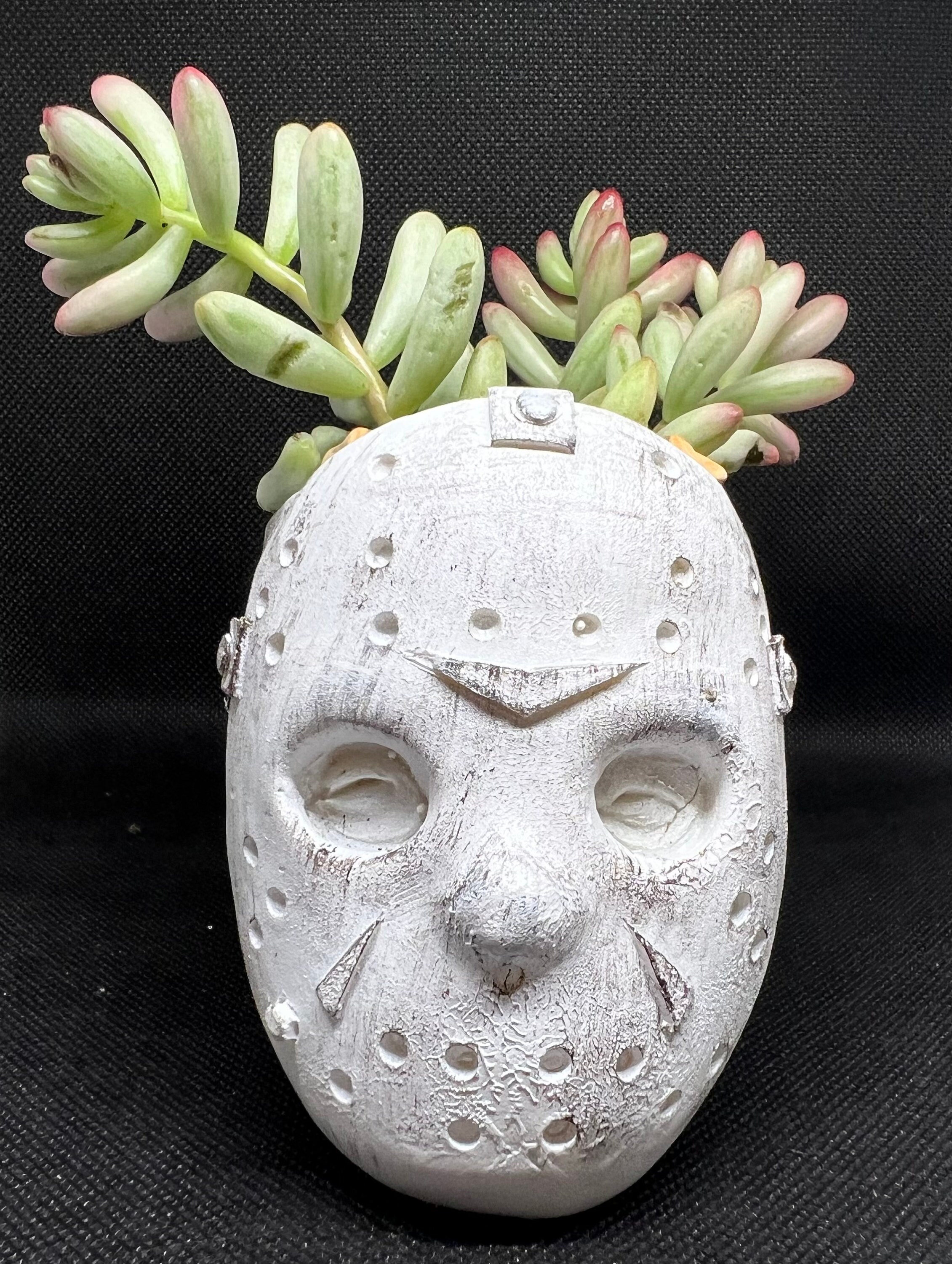 Jason Voorhees Planter With Live Succulent - Etsy