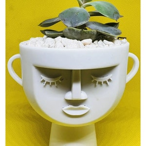 Stone Head Planter/exotic/succulent, Cactus or Other Plants/gifts/the ...