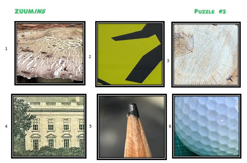 Snapshot Image Puzzles Printable Picture Game Guess the Photo Brain ...