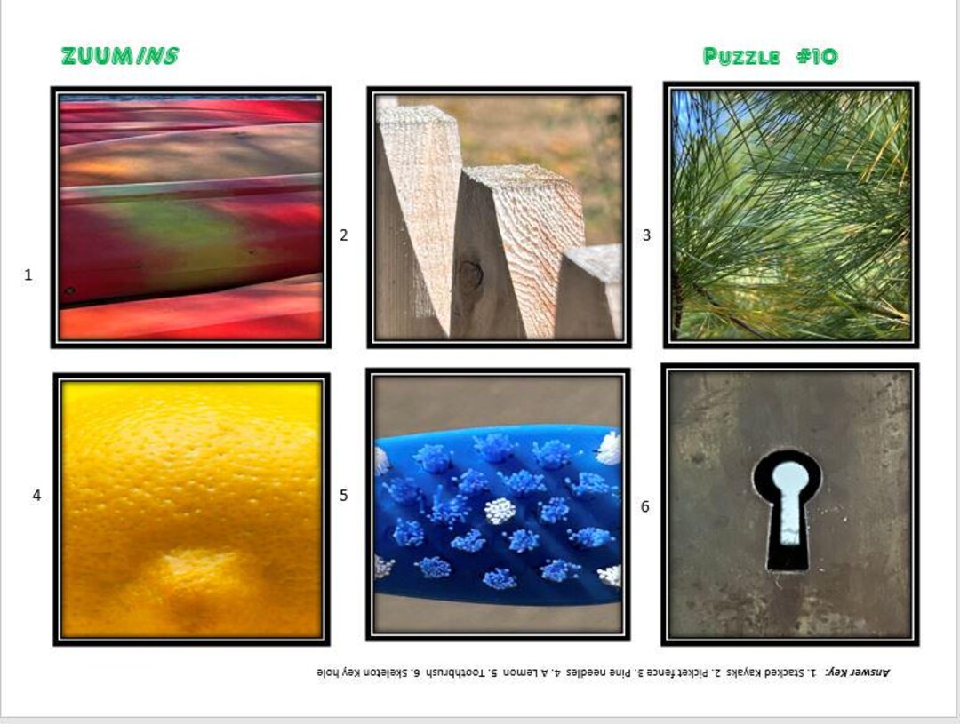 Party Picture Game - Guess the Photo - Snapshot Image Puzzles - Brain ...