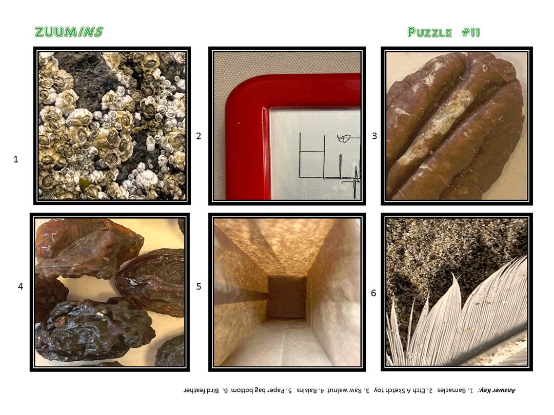Printable Puzzles - Picture Games - Guess the Photo - Image Riddles ...