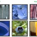 Rainy Day Activity - Picture Puzzle Game - Visual Riddles - Photo ...