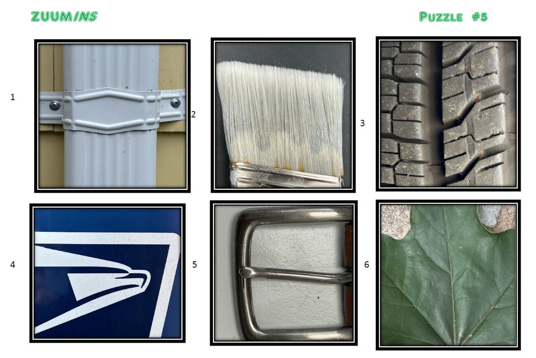 Puzzles to Print - Photo Games - Guess the Photo Riddles - Snapshot ...