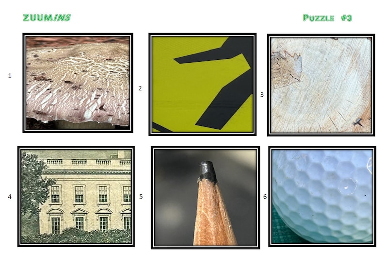 Printable Picture Game - Guess the Photo - Snapshot Image Puzzles ...