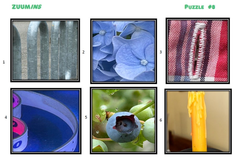 Party Puzzles - Printable Games - Photo Puzzles - Fun Brain Game ...