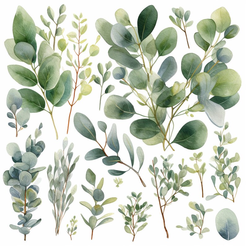 Digital Print of Eucalyptus Greenery Clipart, Digital Files, Watercolor ...