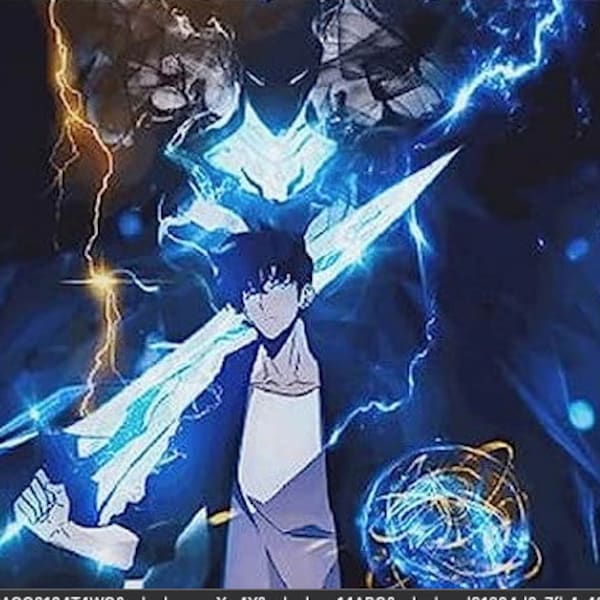 Solo Leveling - Etsy