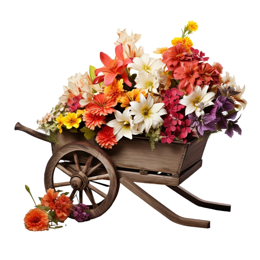 Wheelbarrow With Flowers Fabric Panel ~ 4,5,6, 8, 10, 12, 14, Inch ...