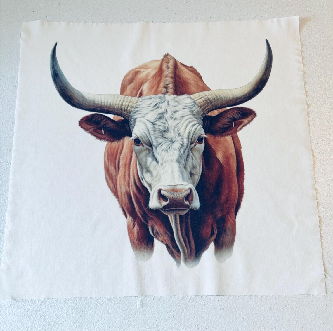 Longhorn Steer -fabric Panel Square ~ 4,5,6, 8, 10, 12, 14 Inch for ...