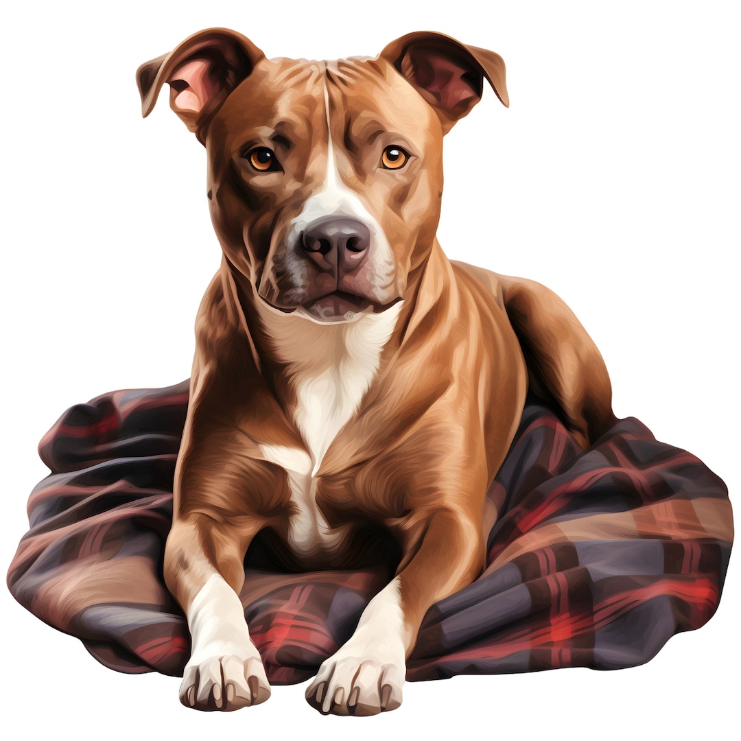 Pitbull With Blanket- Fabric Panel ~4,5, 6, 8, 10, 12, 14, Inch Fabric ...