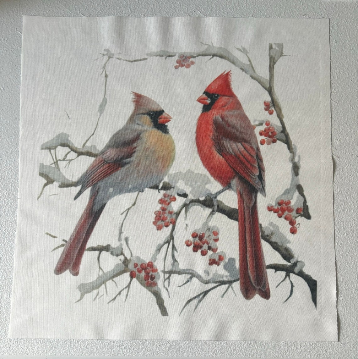 Cardinals -fabric Panel Square ~4"x4",5x5, 6x6, 8x8, 10x10, 12x12 ...