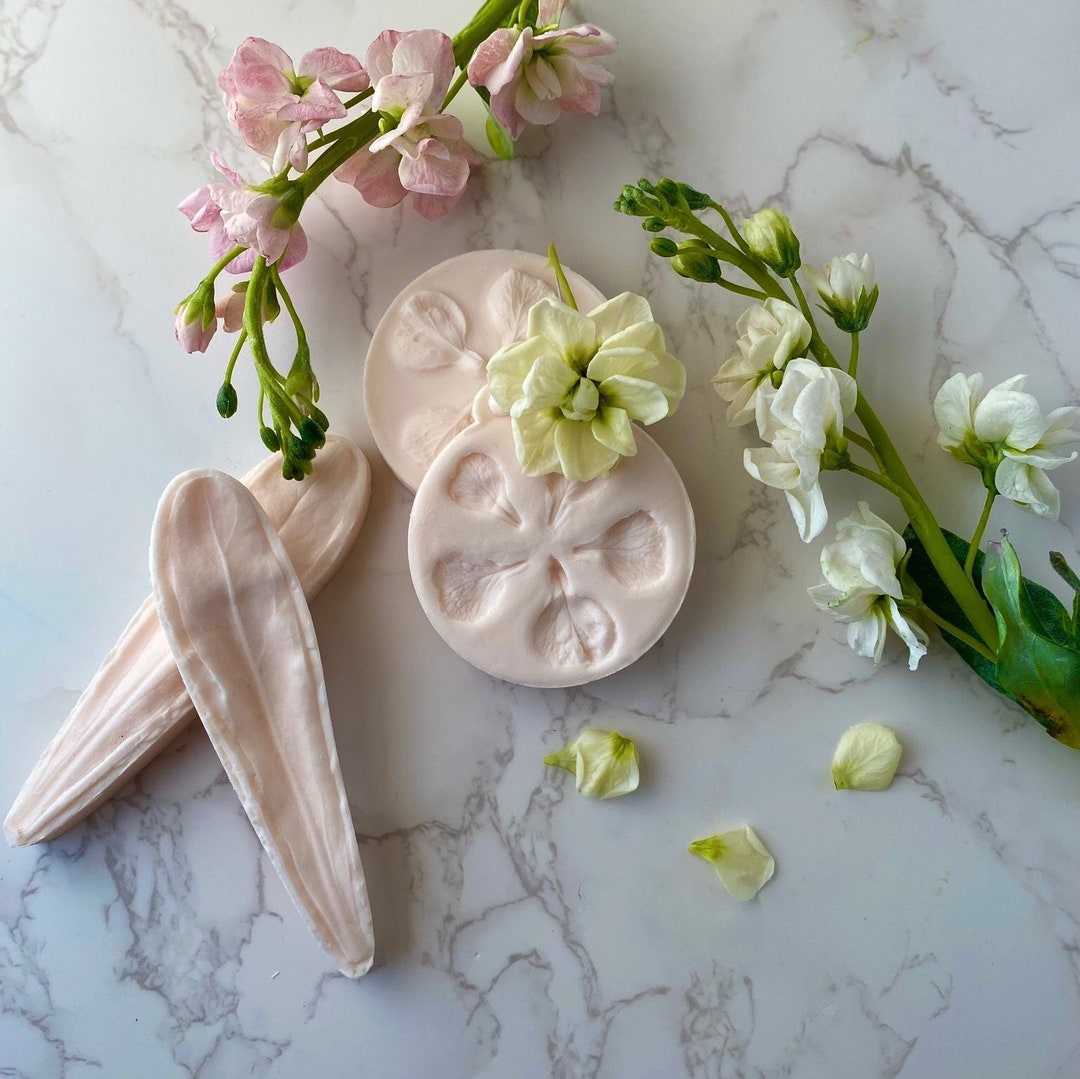 Botanically Correct Veiners, Cutters and Molds - Etsy