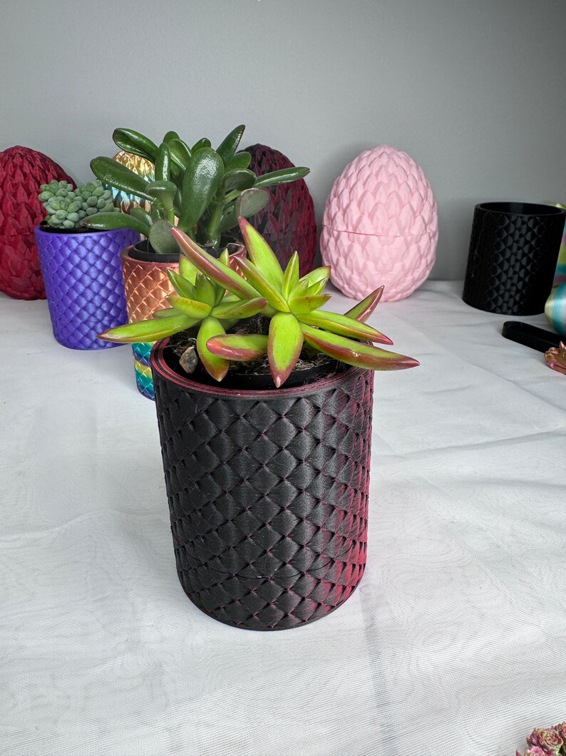 Succulent Planter 3D Printed for 2.5 Inch Pot - Etsy