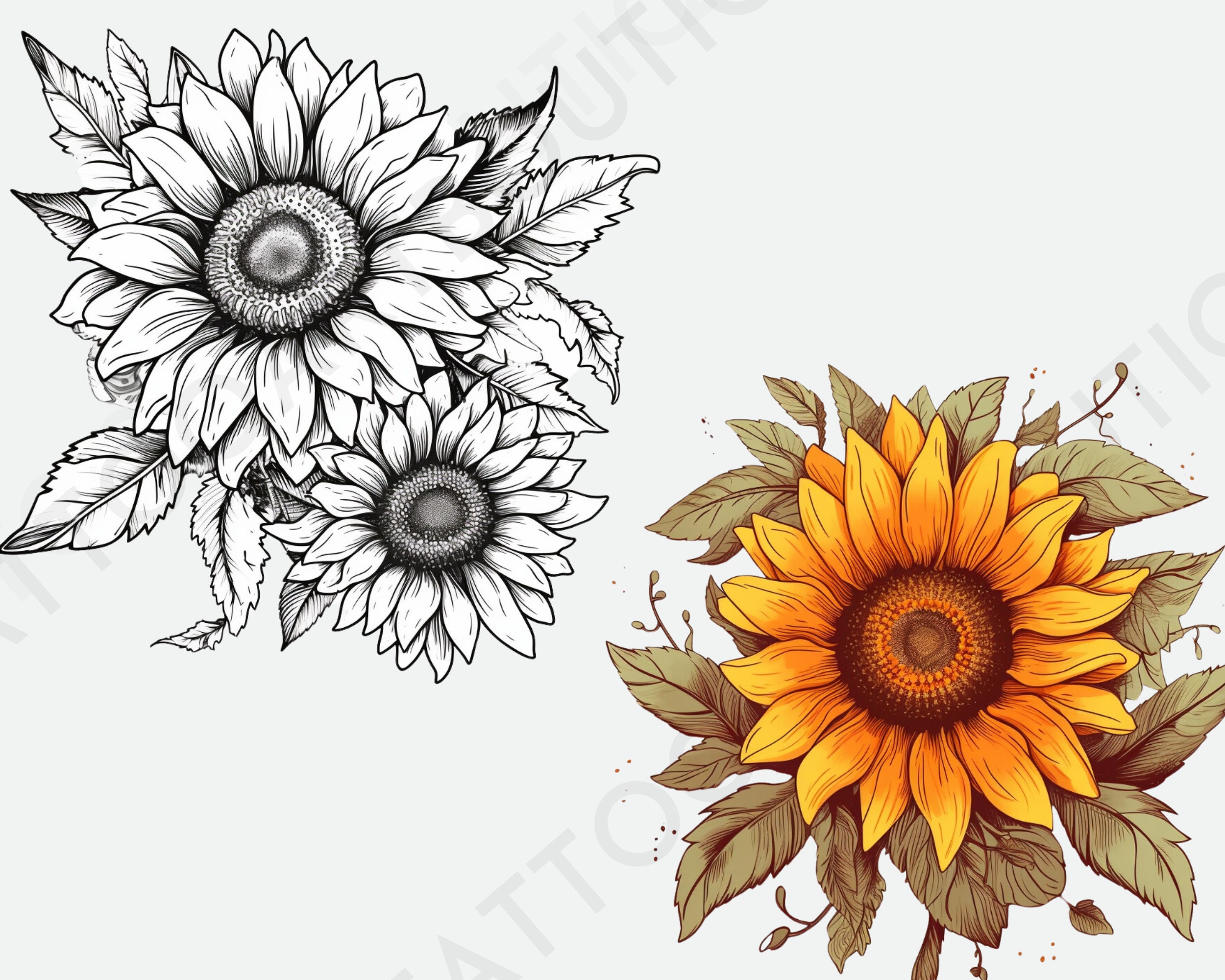 Sunflower Art Prints, Sunflower Art PNG, Tattoo Ideas, Tattoo Designs ...