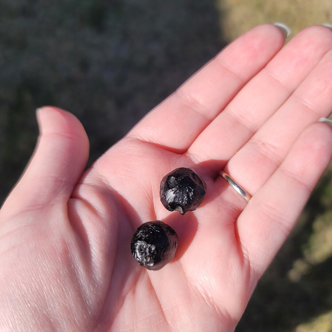 Billitonite Pair / Tektite / Batu Satam Stone / Tektite Pair From ...