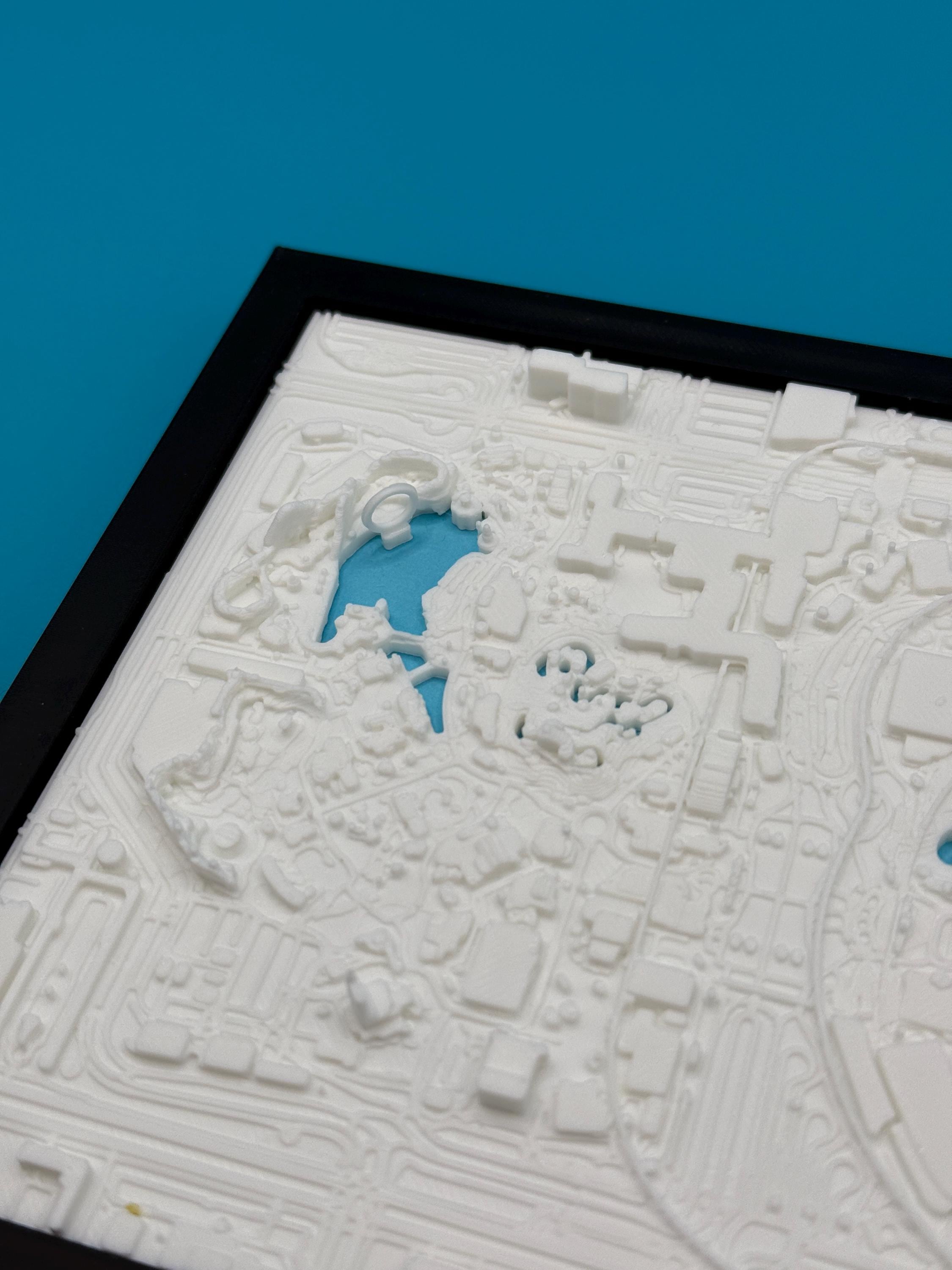 Disneyland and Disney California Adventure Topographical 3D Map Theme ...
