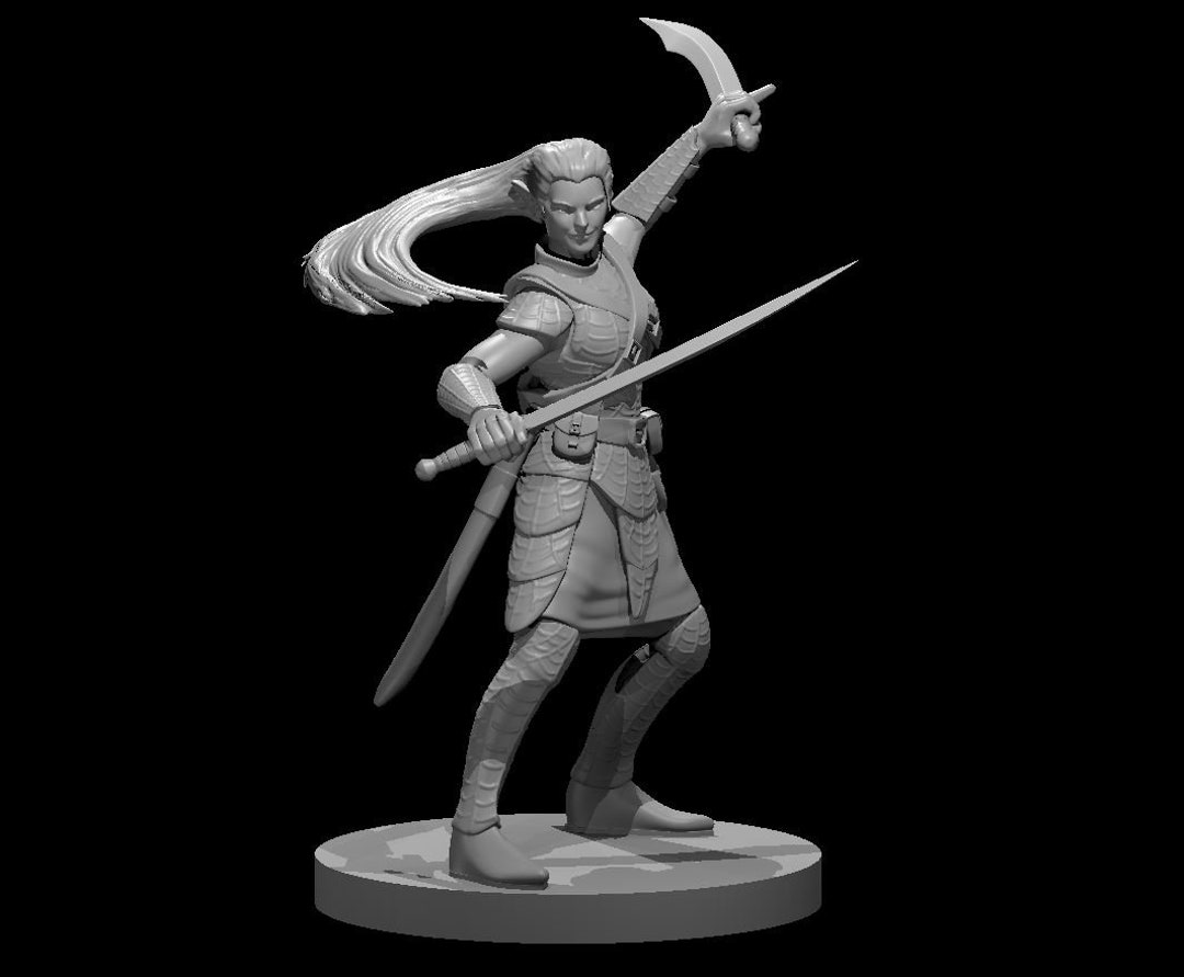 Drow Female Bladesinger With Scimitars | Resin Miniature - Etsy
