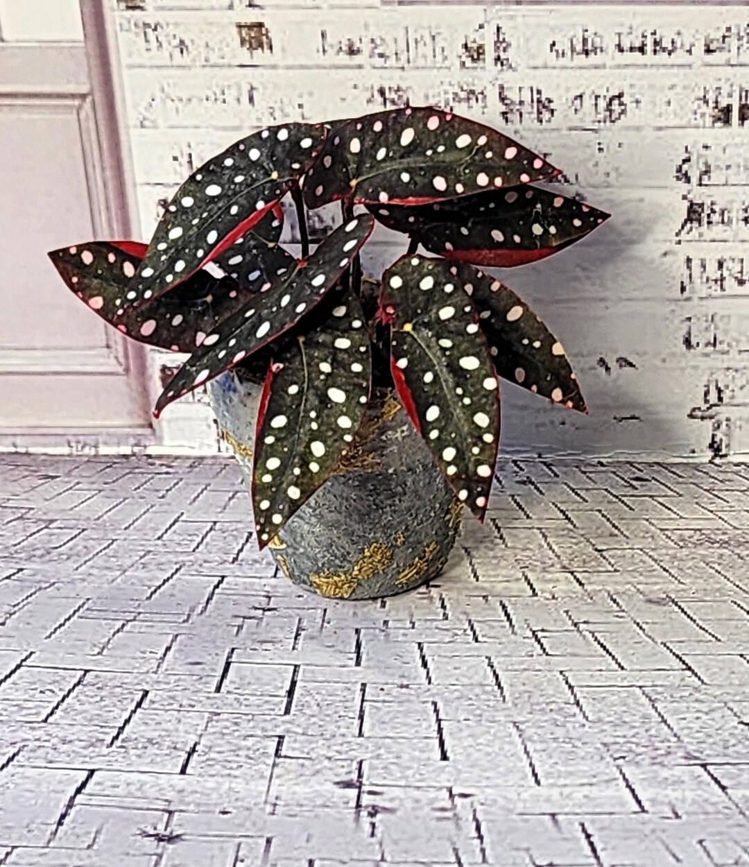 Miniature Paper Begonia Plant Handcrafted Dollhouse 1/12 Scale - Etsy