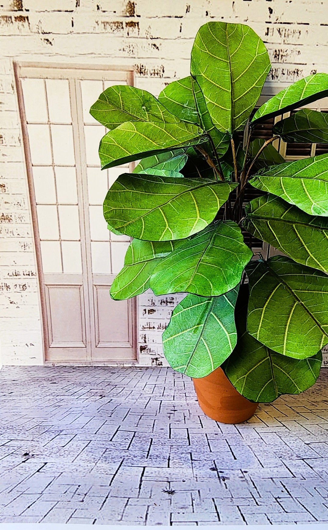 Miniature Paper Fiddle Leaf Fig (2) Plant Handcrafted Dollhouse ...