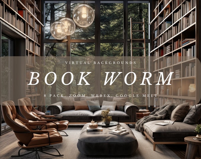 Modern Nook Bookshelf Virtual Backgrounds Professional Virtual Modern ...