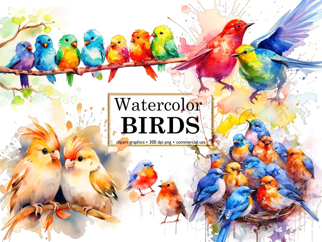 Watercolor Birds Clipart Colorful Birds Watercolor, Rainbow Bird ...