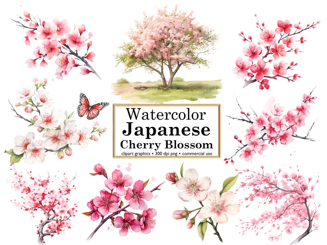 Watercolor Japanese Cherry Blossom Clipart, Pink Cherry Blossom, Red ...