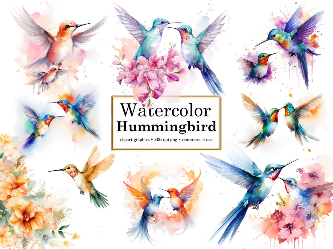 Watercolor Hummingbird Clipart: Vibrant Colors, Flying & Perched Poses ...