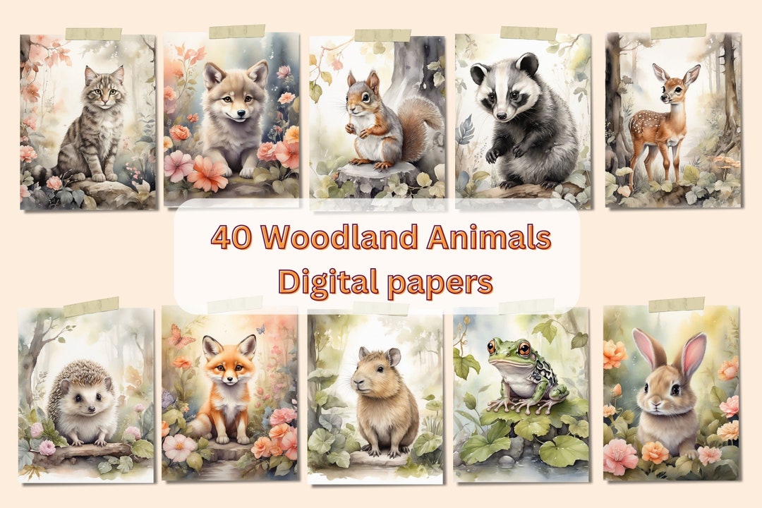 40 Watercolor Woodland Animals Nursery Clipart Digital Papers Pack ...