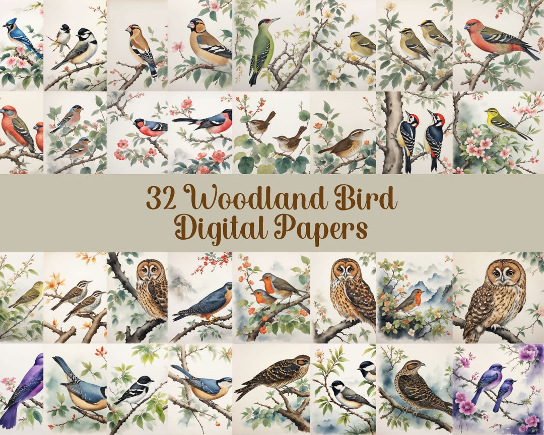 32 Whimsical Watercolor Birds Clipart Spring Bird and Flowers Digital ...