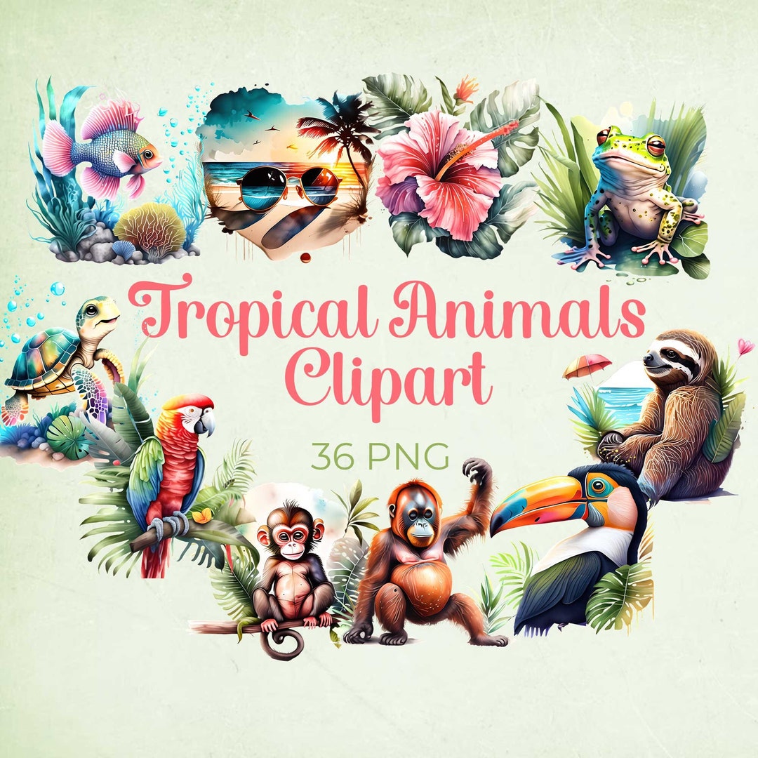 Tropical Animals Clipart Set Ocean Sea Animal Summer Beach Pink ...