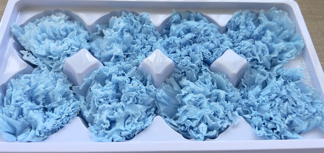 Dried Boxed Carnations I High Quality Preserved Flowers - Etsy