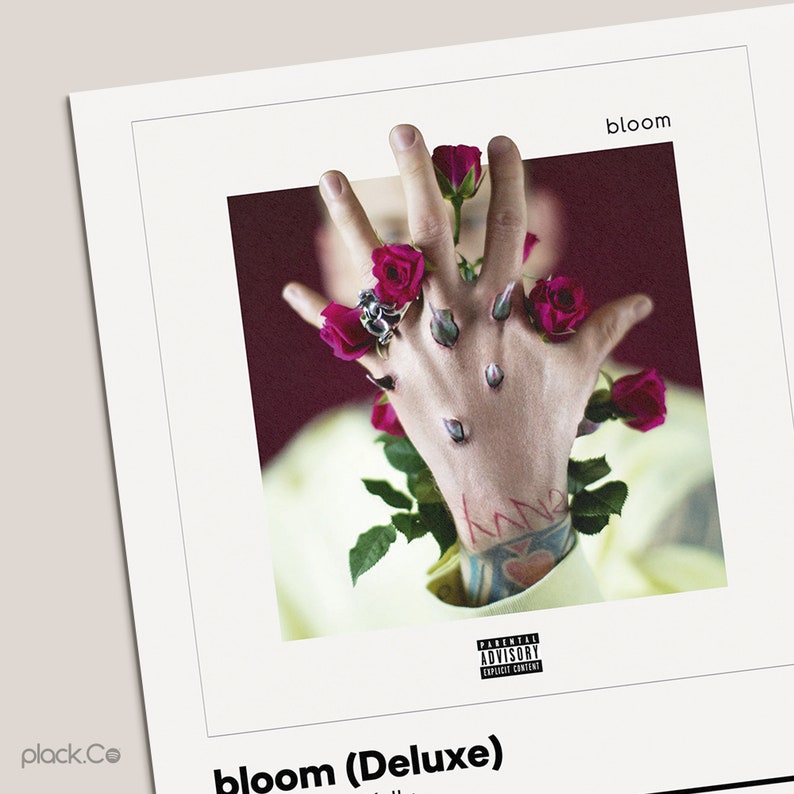 Machine Gun Kelly Bloom Deluxe Custom Album Print Hip Hop Wall Art ...