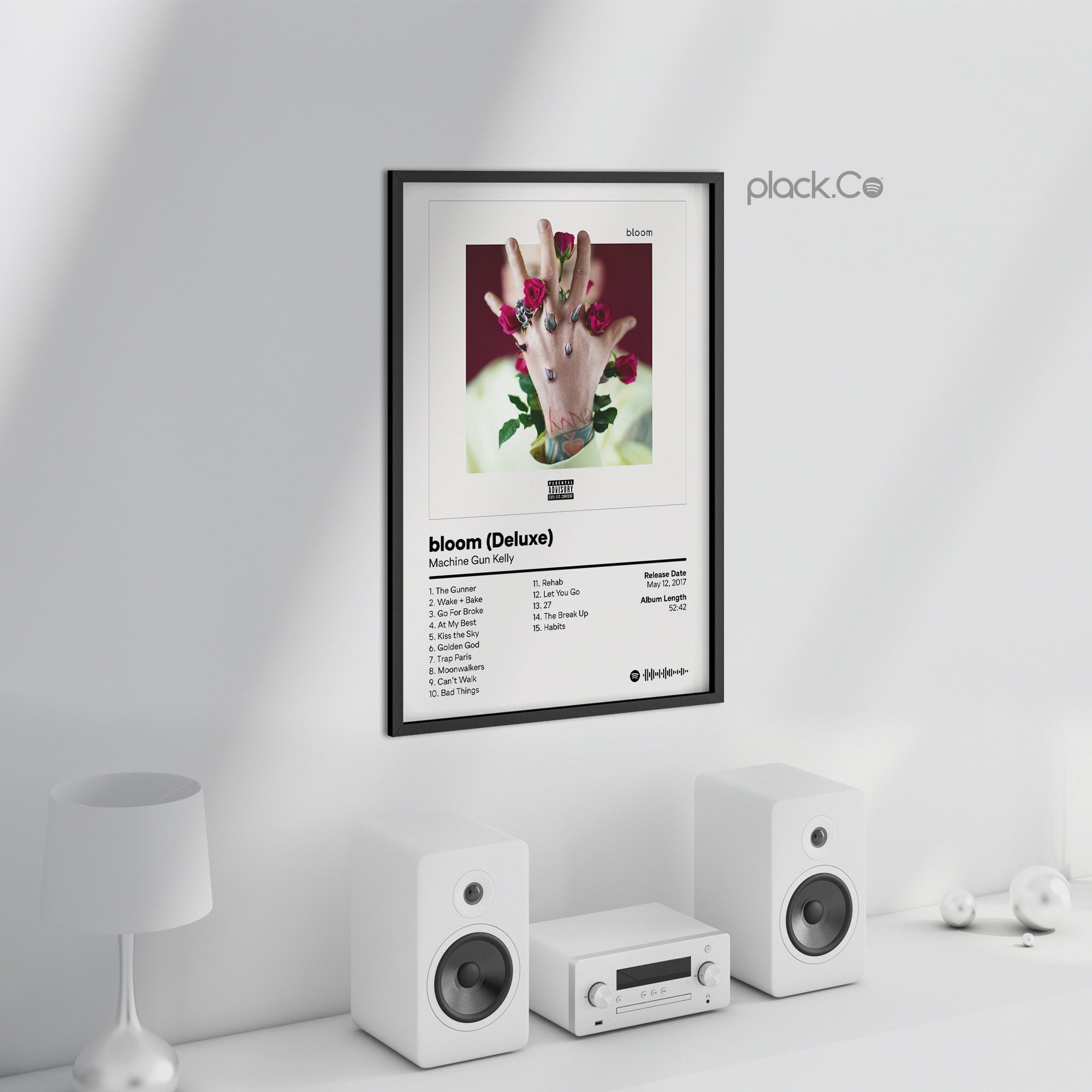 Machine Gun Kelly Bloom Deluxe Custom Album Print Hip Hop Wall Art ...
