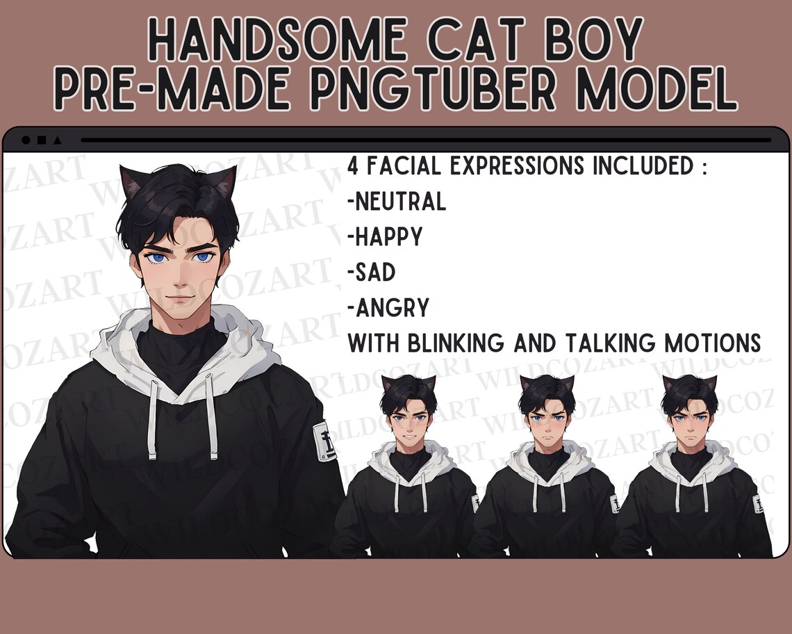 Handsome Cat Boy PNGTUBER, Ready to Use Pngtuber, 4 Expressions ...