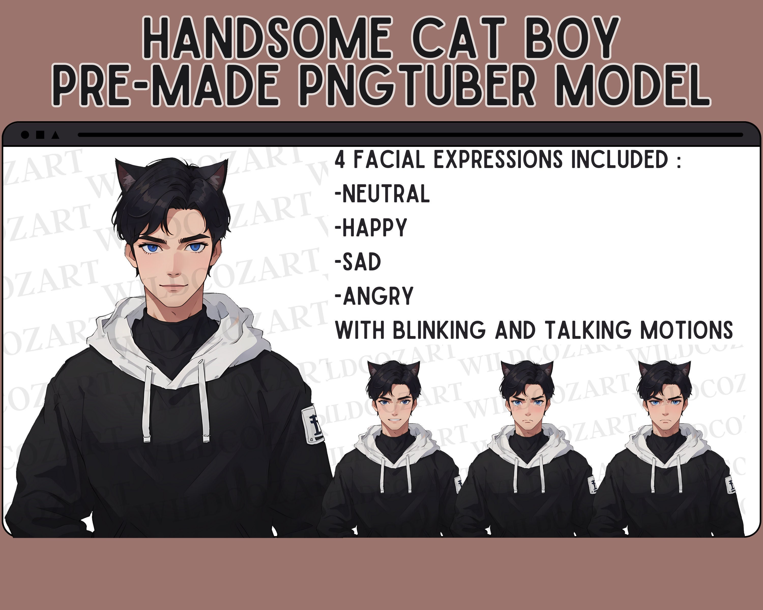 Handsome Cat Boy PNGTUBER, Ready to Use Pngtuber, 4 Expressions ...