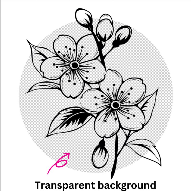 Cherry Blossom Flower Clipart Bundle, Spring, Floral Watercolor Line ...