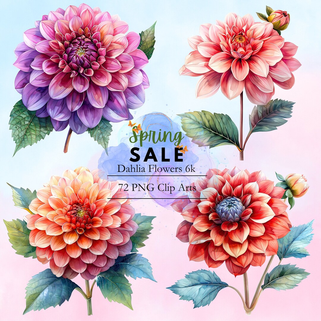 Vibrant Dahlia Flower Clipart Bundle - 72 PNG Files, Watercolor ...