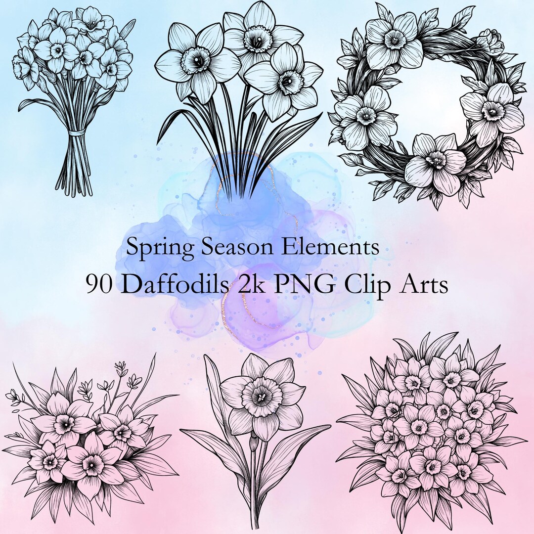 Daffodil Clipart Bundle: Spring Floral Line Art (90 PNG 2k Res) - Etsy