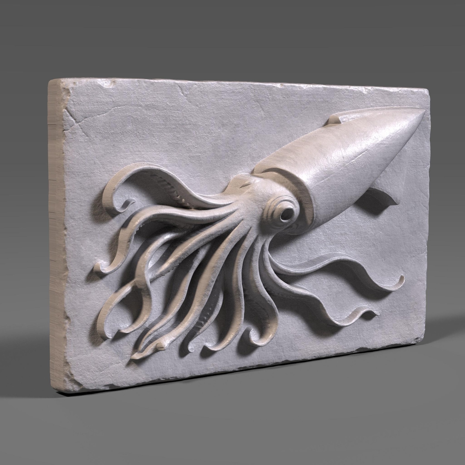 Squid Bas Relief 3D Model: CNC Laser Engraving (STL + Depth Map) - Etsy
