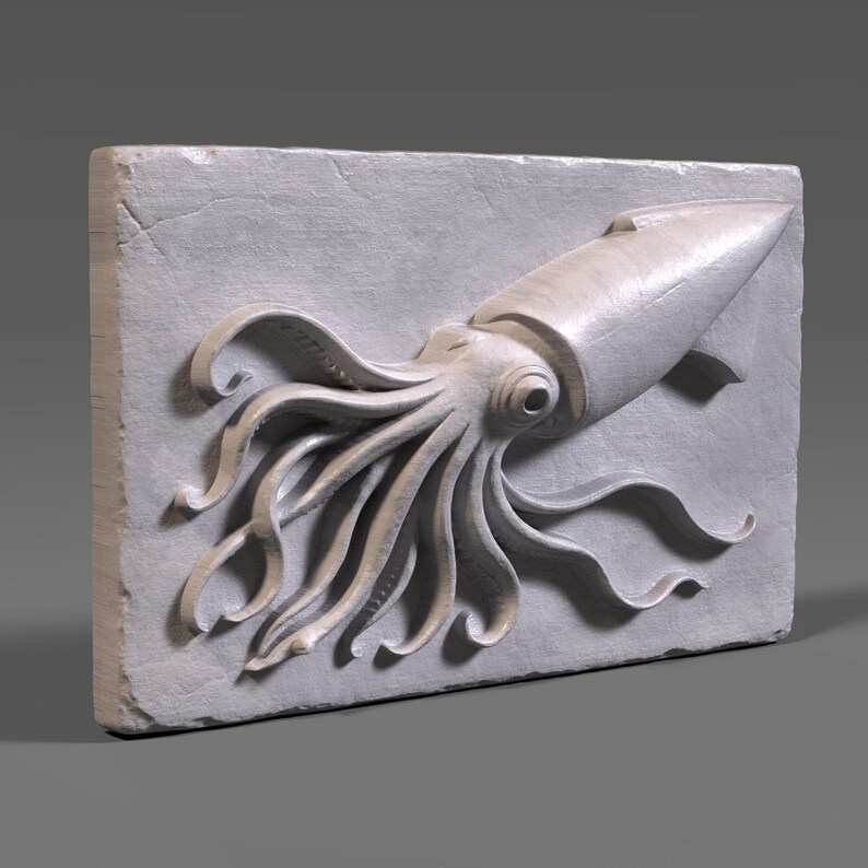 Squid Bas Relief 3D Model: CNC Laser Engraving (STL + Depth Map) - Etsy