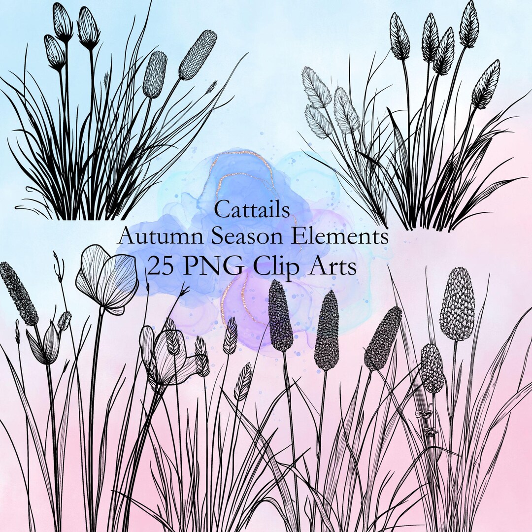 Cattails,clipart Bundle,autumn,maple,black Single Line Art -25PNG 2k ...